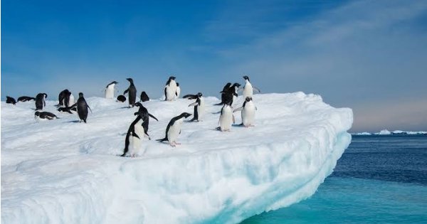 Antarctica Recorded Its Highest Temperature In History At 18.3 Degrees ...
