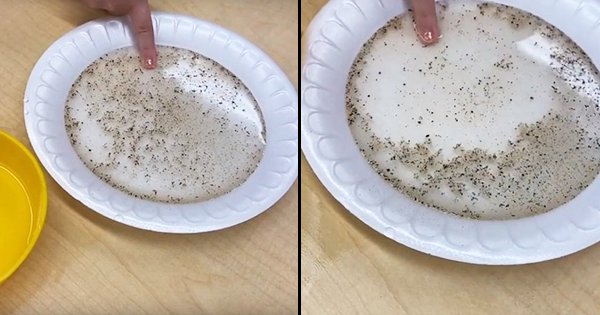 Coronavirus: This School Teacher's Experiment Showing Kids Why To Wash ...