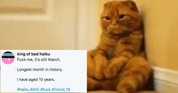 March Has Been The Longest Month In History Twitter Reactions