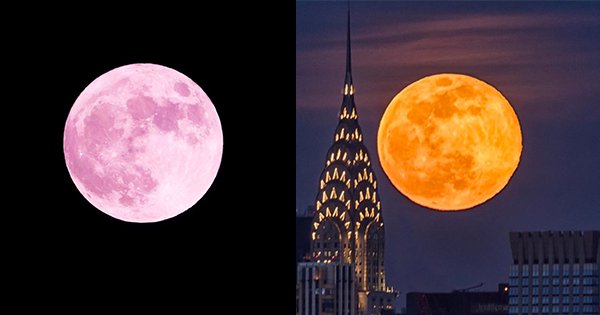 Just 25 Pictures Of The Biggest & Brightest Supermoon Of 2020 That Will ...