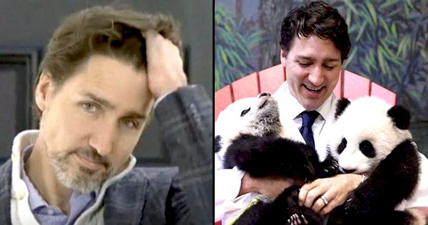 Not Just Hair Flipping, 15 Times Justin Trudeau Broke The Internet ...