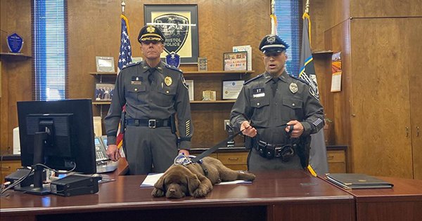 Caught By Pup-arazzi! Newly Recruited Police Doggo Sleeps Through His ...