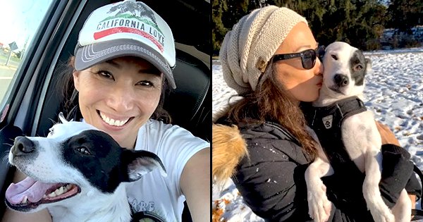 Woman Afraid of Dogs Adopts Pup Who Was Afraid Of Humans & Together ...