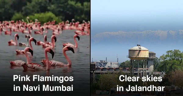 15 Instances Of Nature Taking Over During The Pandemic That Prove Maybe ...