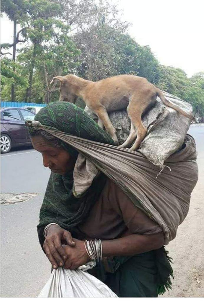 7 Times Migrants Chose Not To Abandon Their Pets During Lockdown ...