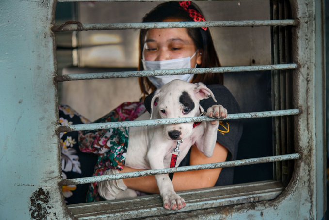 7 Times Migrants Chose Not To Abandon Their Pets During Lockdown ...