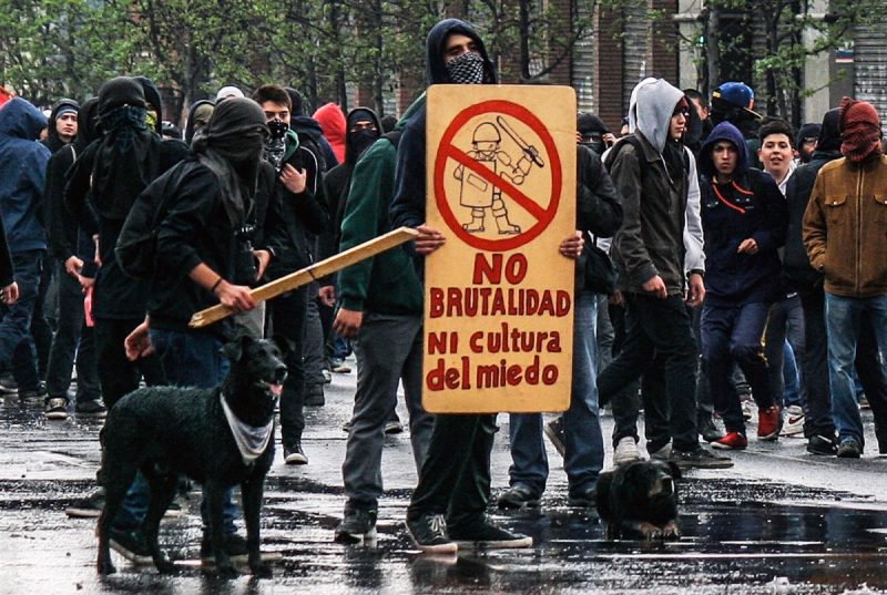 The Story Of El Negro Matapacos: A Chilean Stray Dog That Became The ...