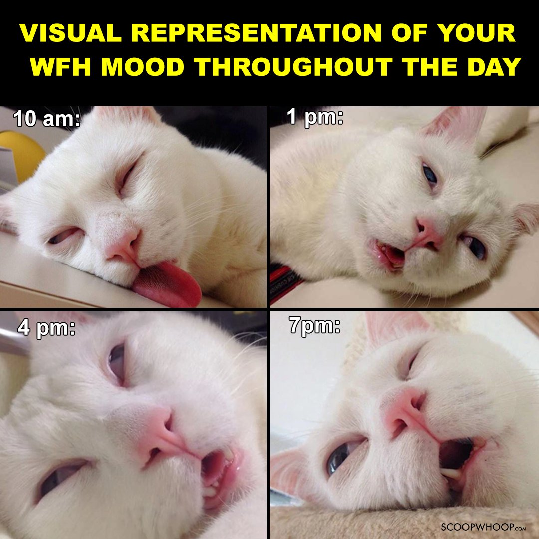 21 Relatable Work From Home Memes To Make You Laugh-Cry At Your Current ...