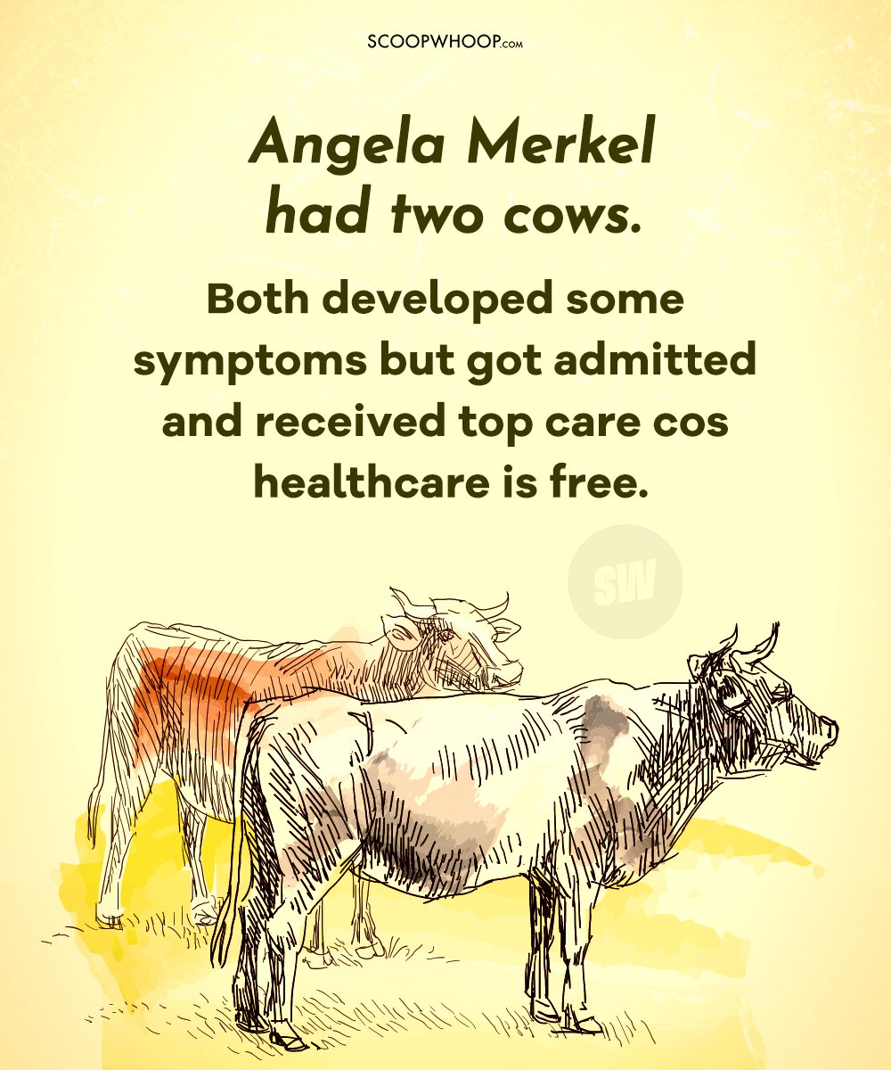 Two Cows Theory To Show How World Leaders Dealt With COVID-19