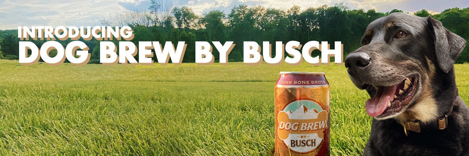 This Brand Launched A Beer Safe For Doggos So You Can Now Drink With ...