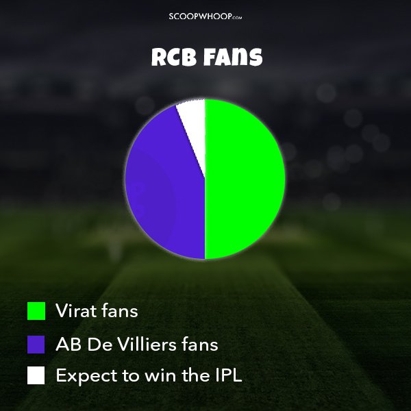 These Hilarious Pie Charts Will Help You Understand The Kind Of Fans ...