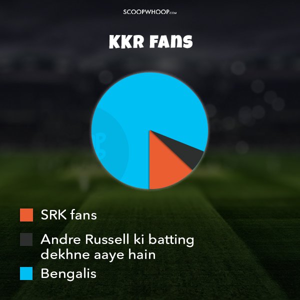 These Hilarious Pie Charts Will Help You Understand The Kind Of Fans ...