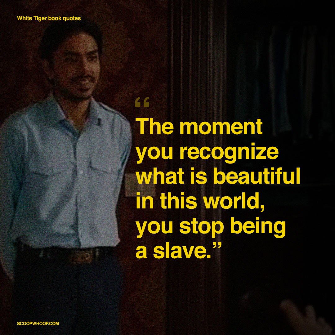 15 Quotes From Aravind Adiga’s 'The White Tiger' That Could Make The ...
