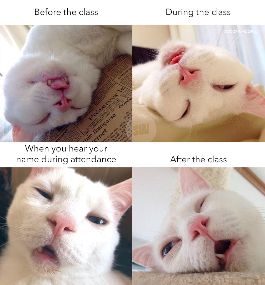 15 Memes On Online Classes That Every Student Can Laugh At Without Any Lag