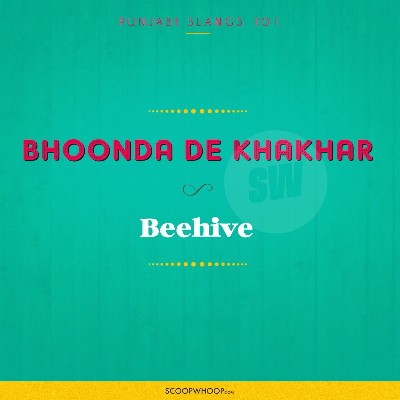 26 Punjabi Slangs You Can Add To Your List Of Comebacks To 'Diljit ...