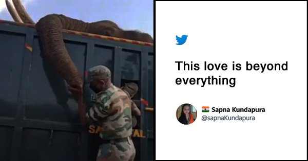This Video Of A Forest Ranger Saying His Final Goodbyes To An Elephant ...