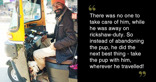 The Internet Is Loving This Rickshaw Driver Who Takes His Doggo With ...