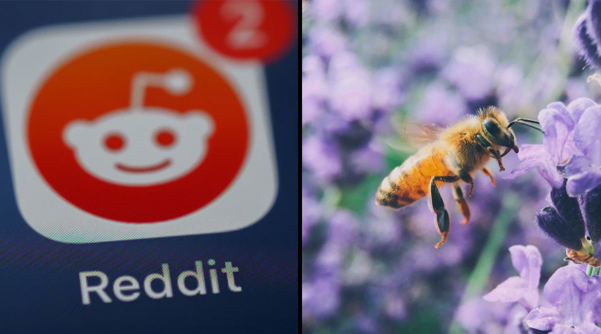 So There's A Subreddit Where People Share & Talk About Having Sex With ...