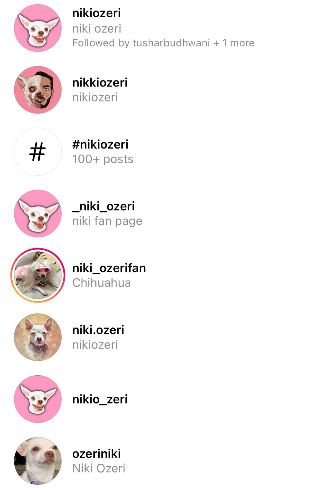 The Angry Dog Is Now An Internet Sensation