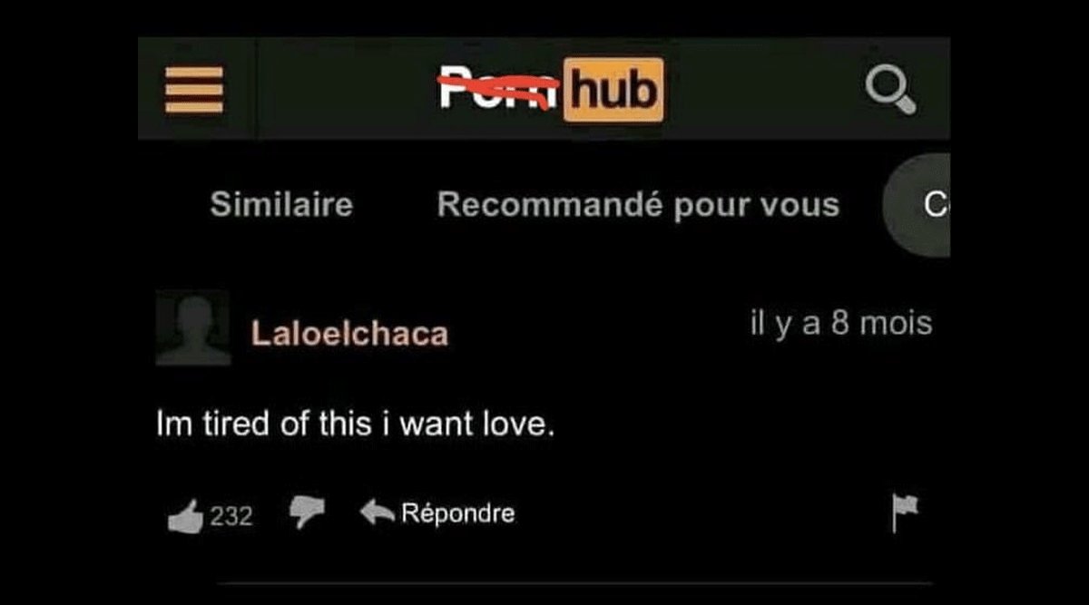 20 Funniest PornHub Comments