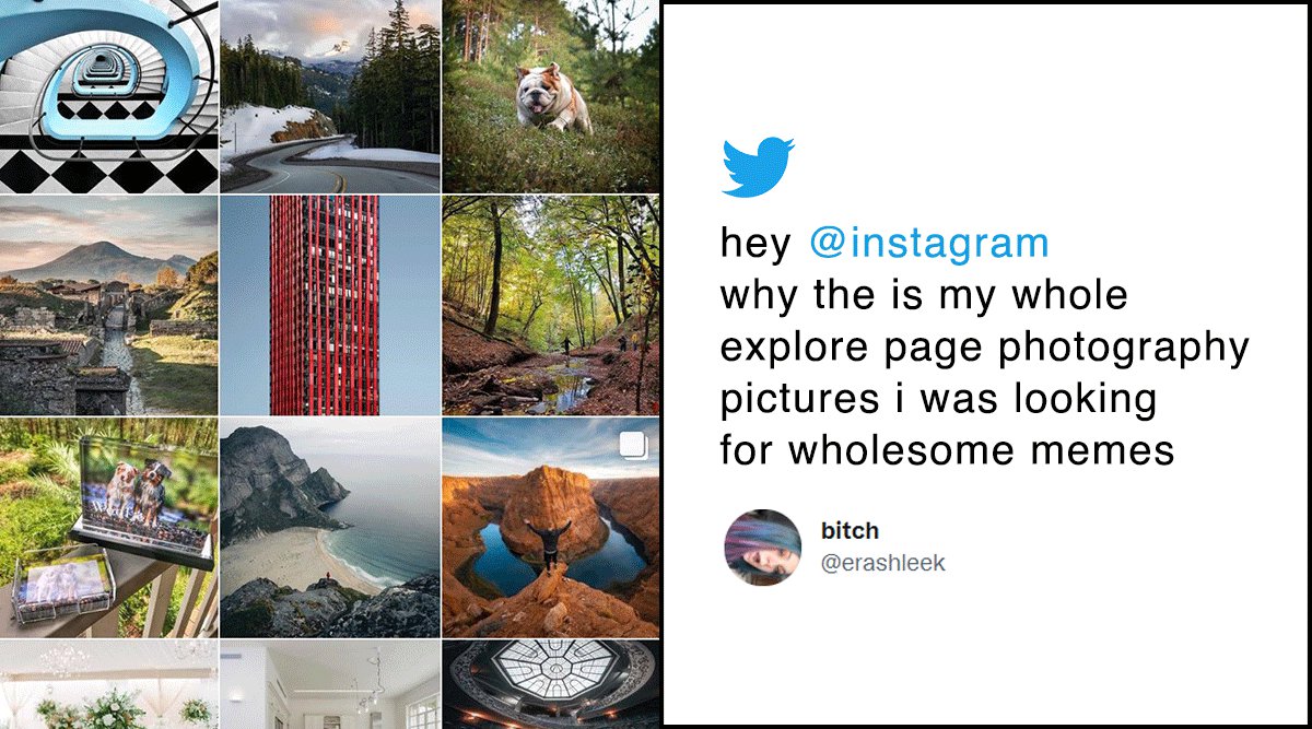 Instagram Explore Is Suddenly A Collection Of Random Photos! This Is ...