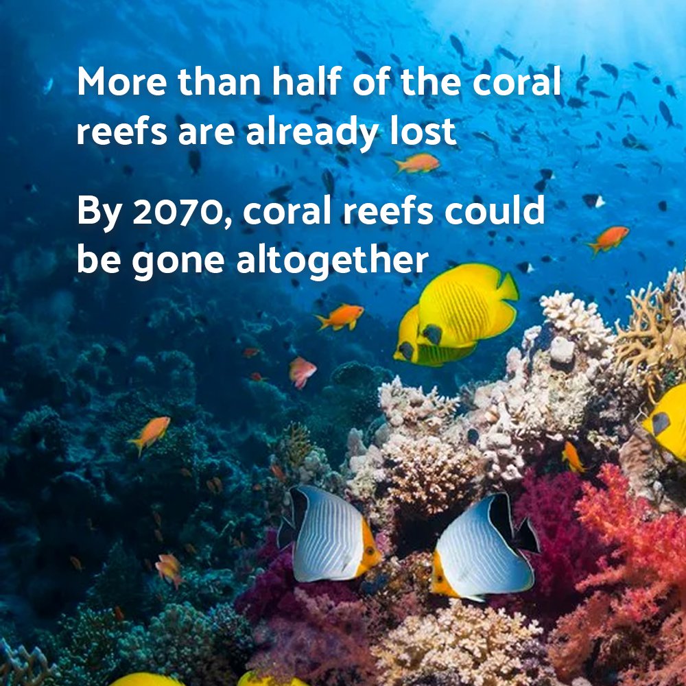 Earth Day 2022: From Petrol To Water, Here's How Long Earth's Resources ...