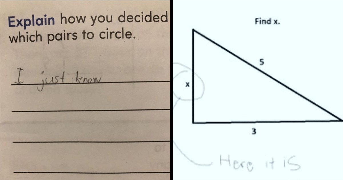 15 Hilarious Yet Genius Exam Answers By Kids That Will Make You Give ...