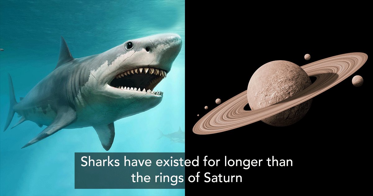 Here Are 11 Statistics That Are So Interesting They Will Make You Gasp ...