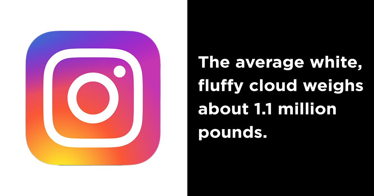 This IG Account About Interesting Facts You Probably Didn't Know Can Be ...