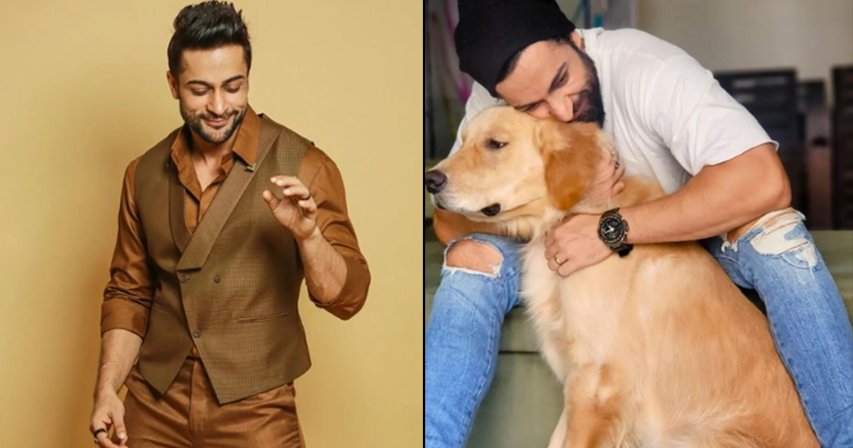 Bigg Boss 16: Who Is Shalin Bhanot? Biography, Relationship, Family & More