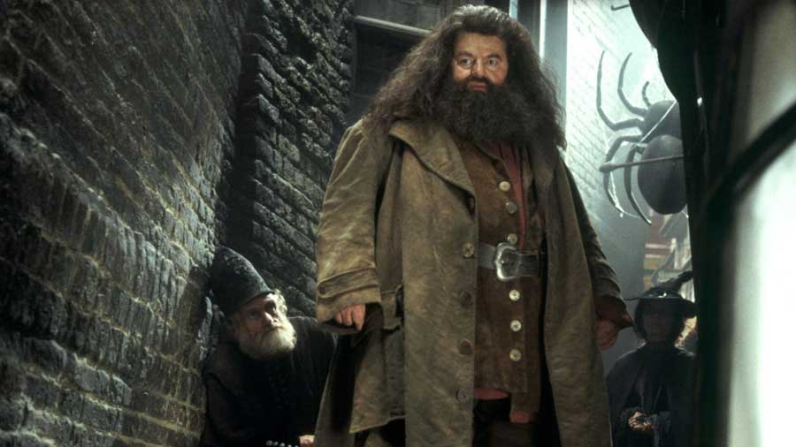 8 Of Rubeus Hagrid Quotes From Harry Potter