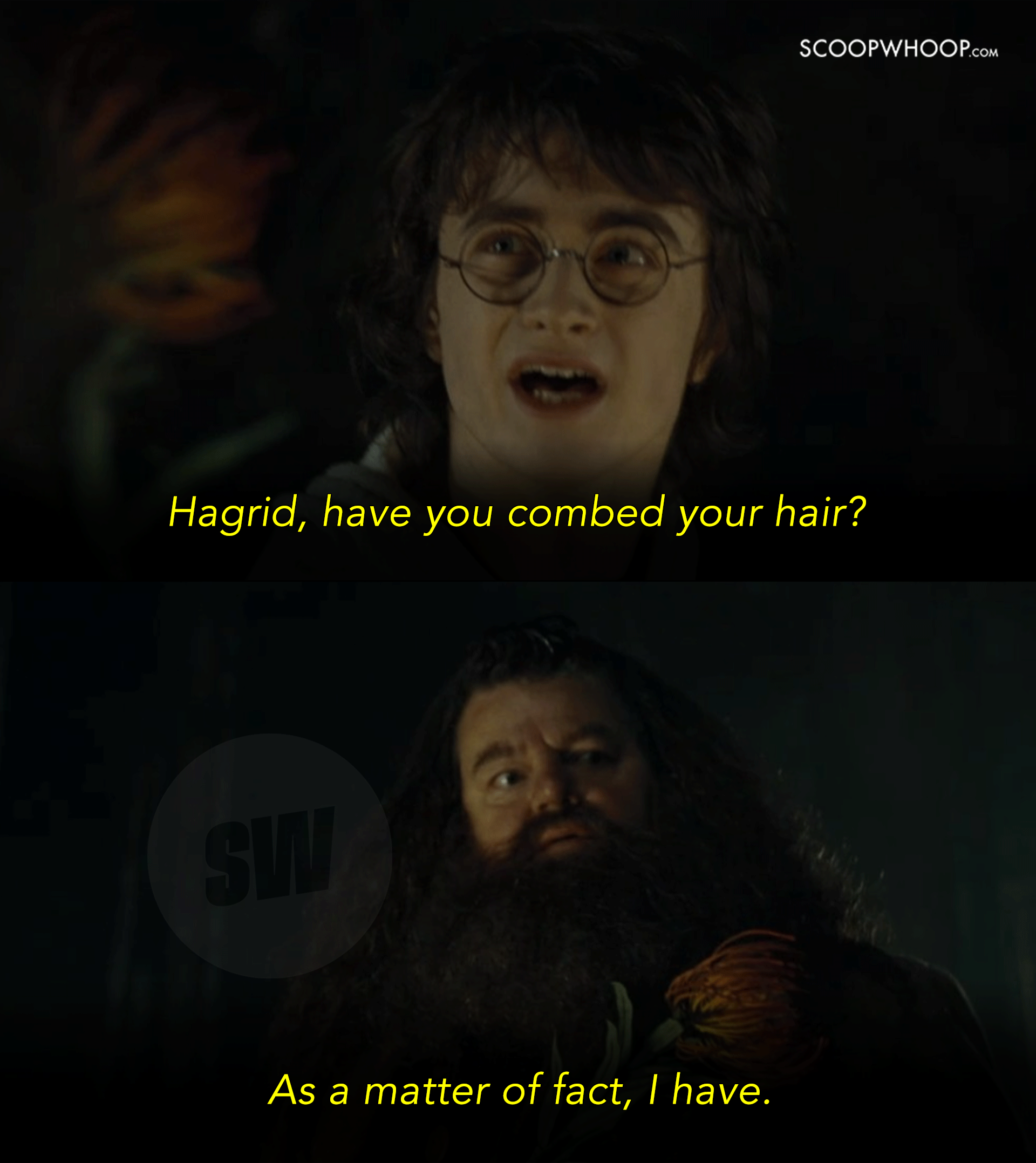 Robbie Coltrane As Hagrid In The Harry Potter Movies
