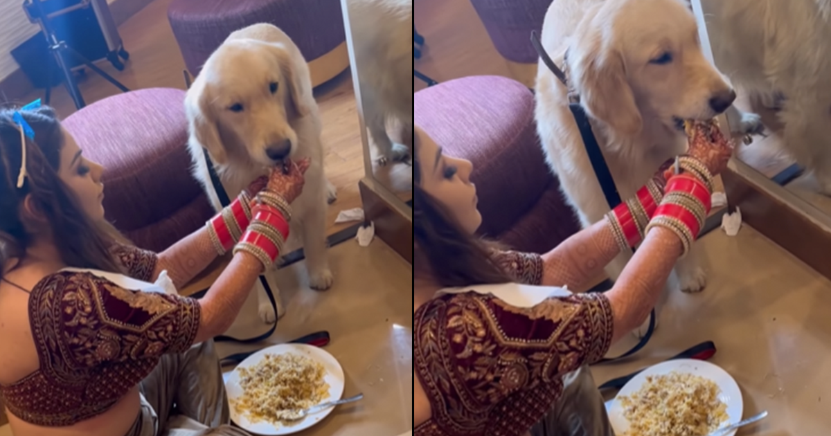 This Bride Stopped Her Makeup On Her Wedding Day To Feed Her Dog