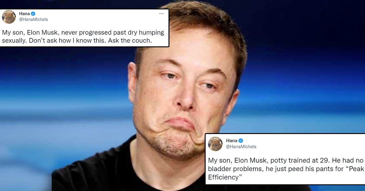 Elon Musk's Mother Maye Musk Parody Account On Twitter