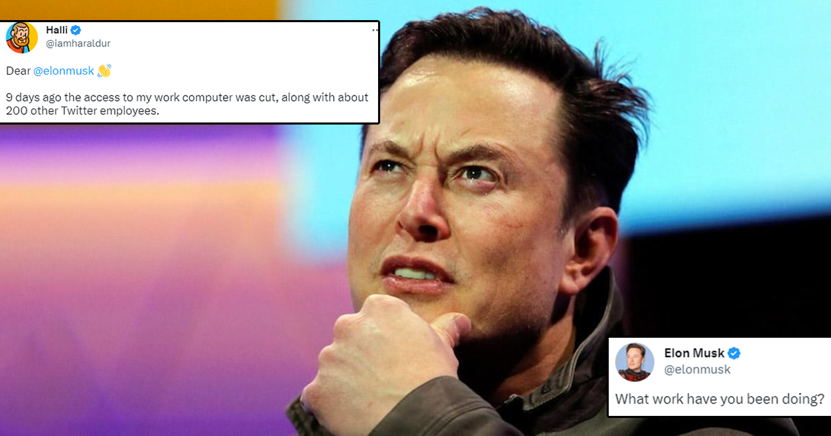 Elon Musk Takes Exit Interview On Twitter; Gets Called Out