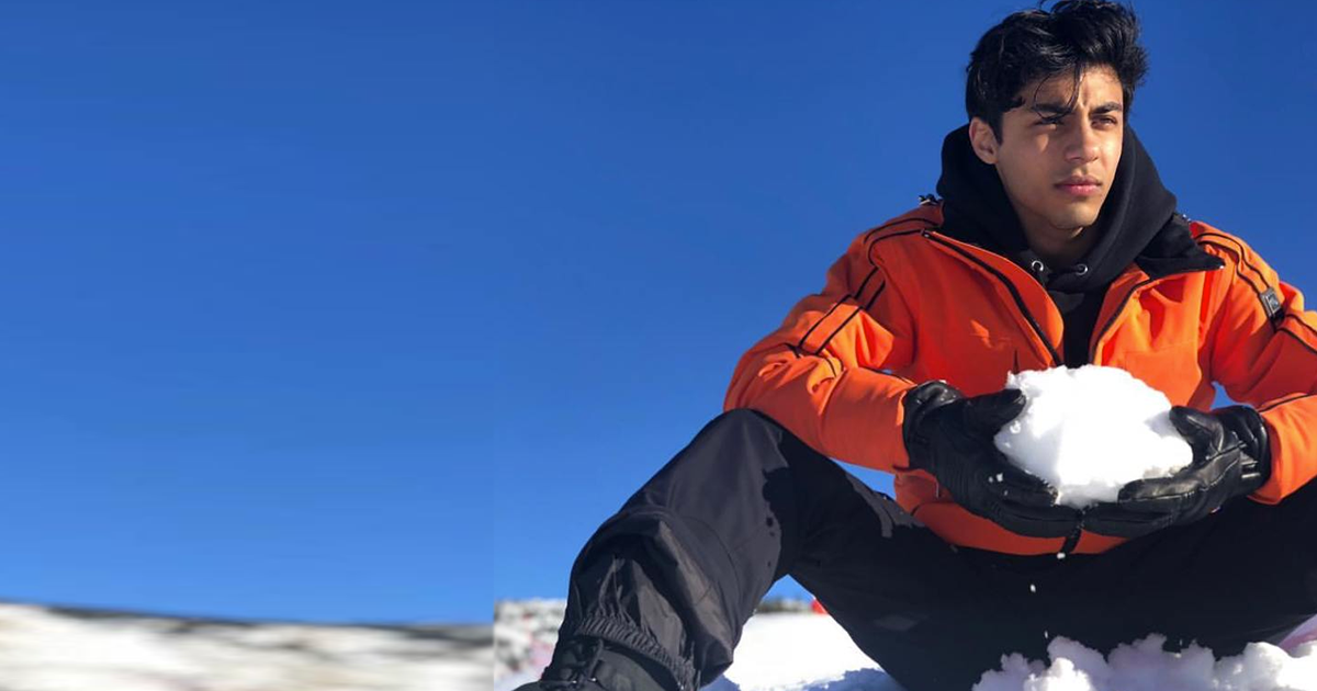 From Education To Filmy Career: Here’s Everything To Know About Aryan ...