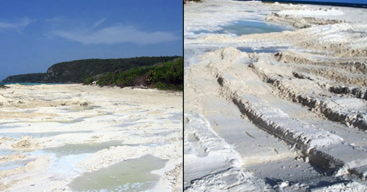 TIL Thieves Stole An Entire Beach In Jamaica Back In 2008 & No Culprits ...