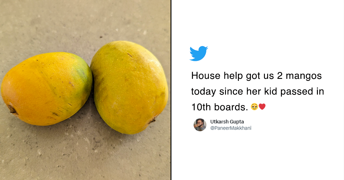 Mango Season Memes