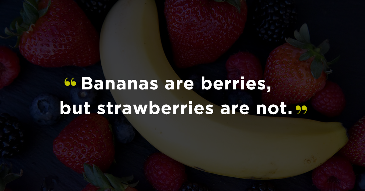 8 'Useless Facts' For No Reason