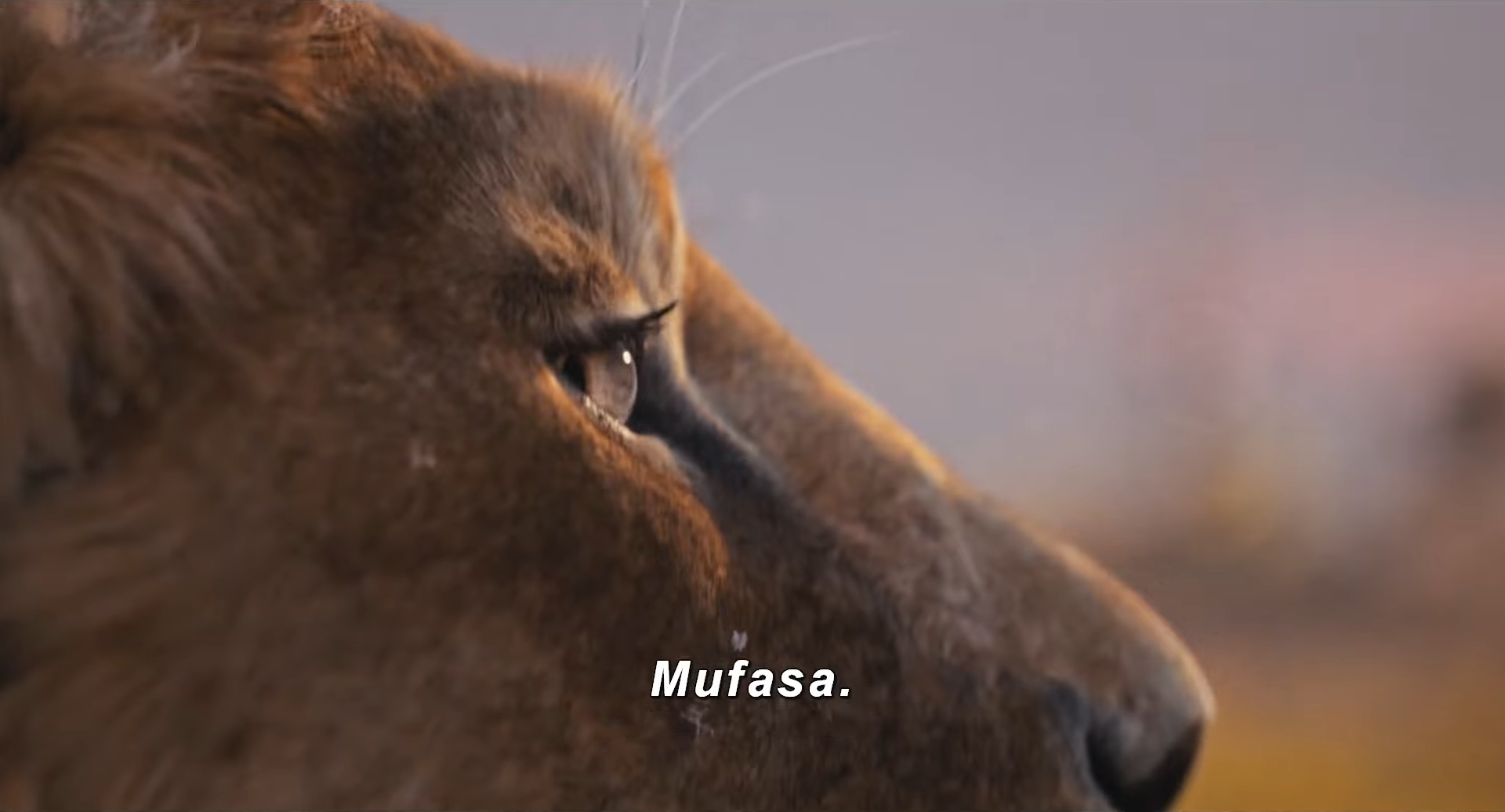 'Mufasa: The Lion King' Trailer Shows Journey Of Simba's Father ...