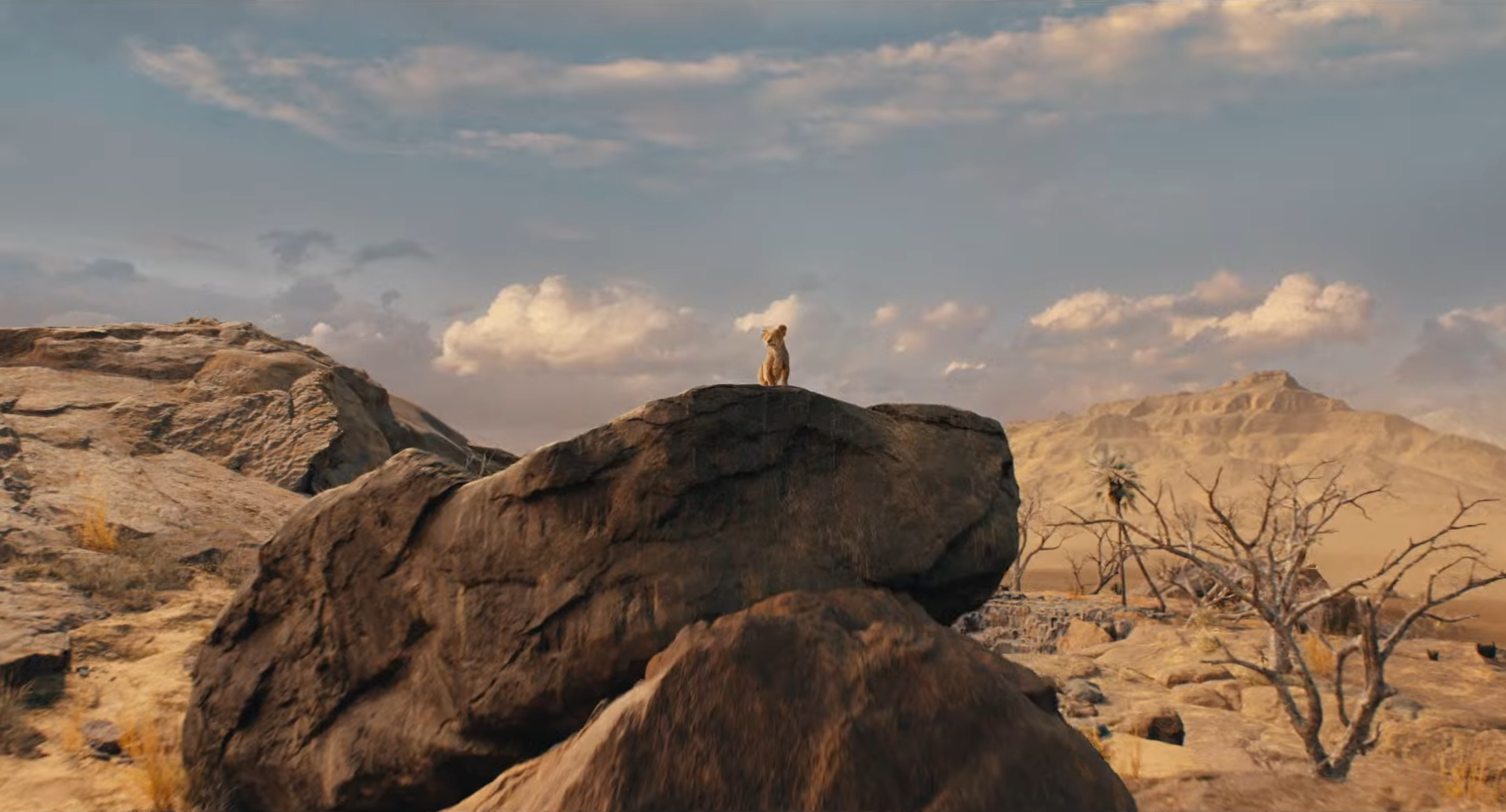 'Mufasa: The Lion King' Trailer Shows Journey Of Simba's Father ...