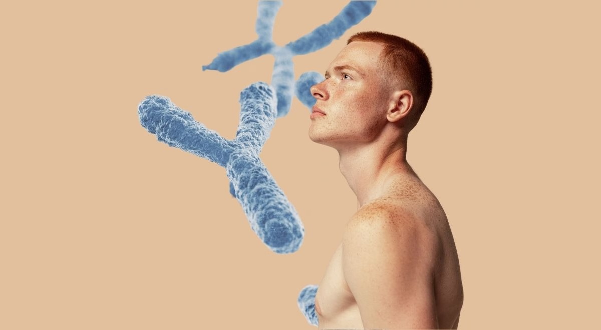 The Human Y Chromosome Is Disappearing, But That Does Not Mean Men Are ...