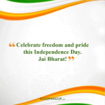 70 Best Short Independence Day Quotes: Heartfelt and Patriotic Messages ...