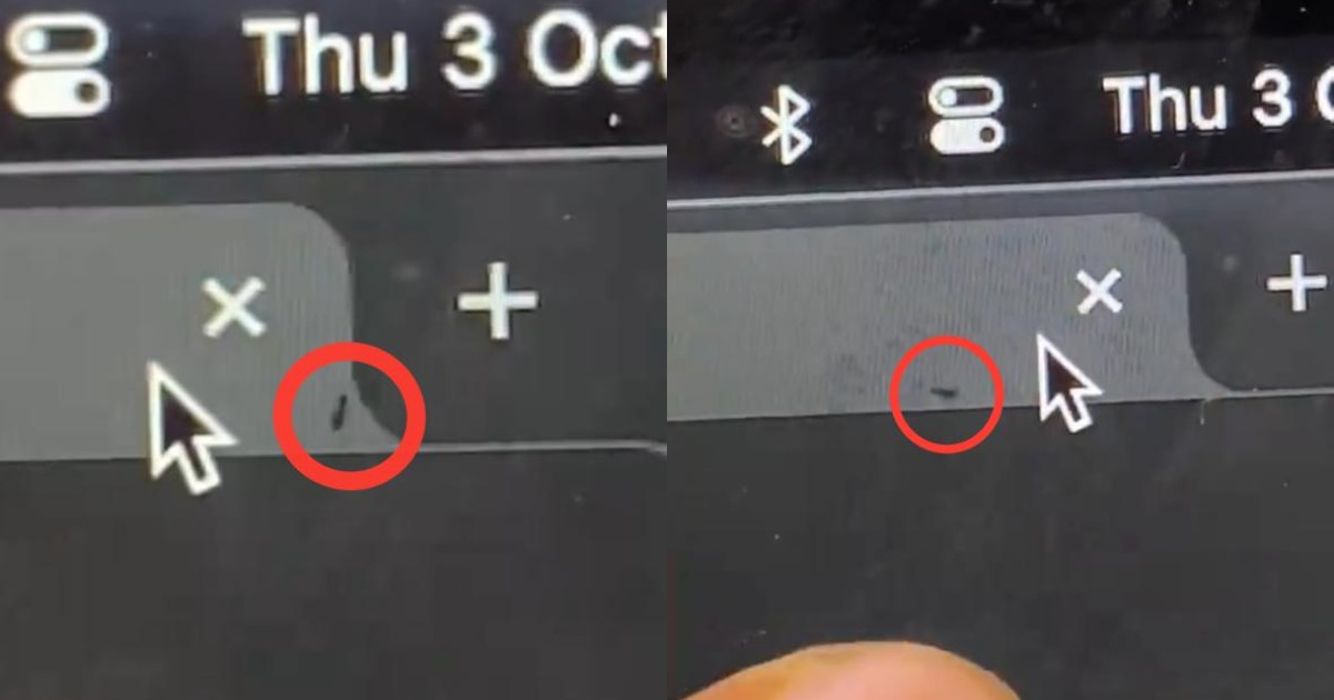 Ants in the Screen? The Internet Can’t Stop Laughing at This Laptop Ant ...
