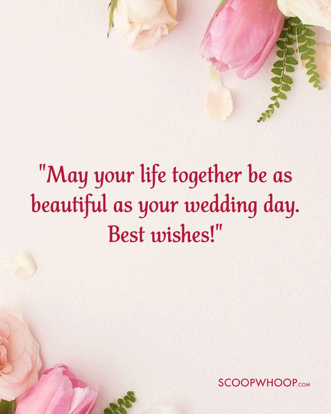 130+ Marriage Wishes for Newly Married Couple: Messages, Quotes & Captions